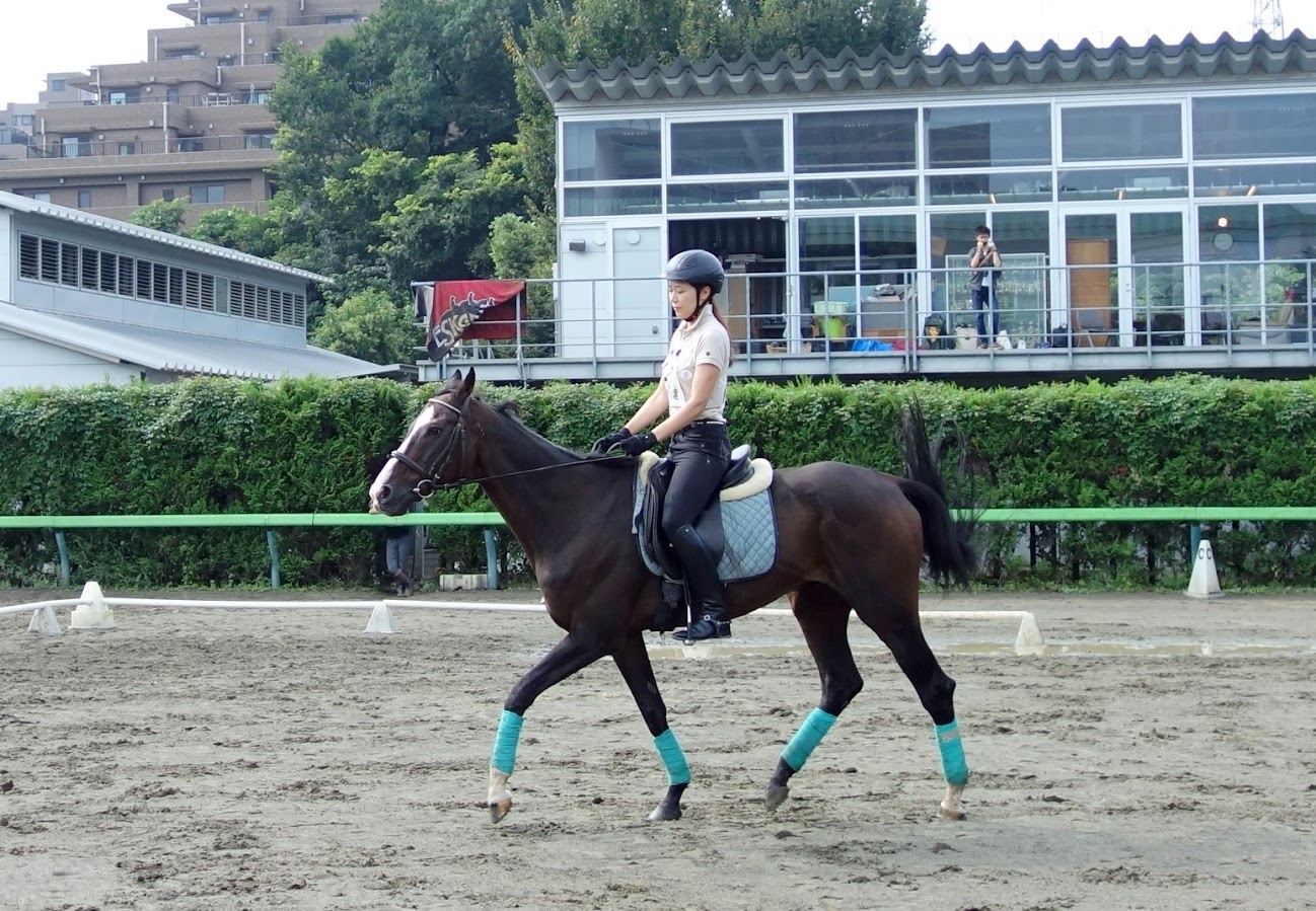 %e9%83%a8%e7%8f%ad | 日本社会人団体馬術連盟